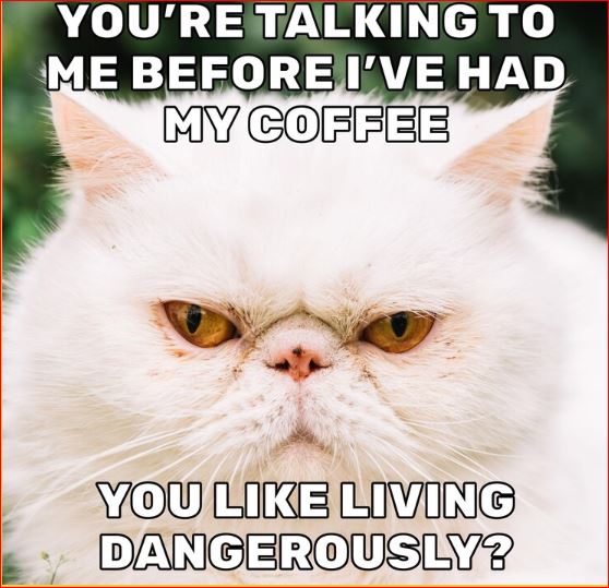 The Evolution of Meme Culture and Its Influence on Digital Marketing ...