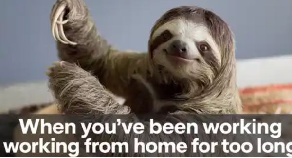 How to Integrate Animated GIFs in Email Marketing – SocialWick