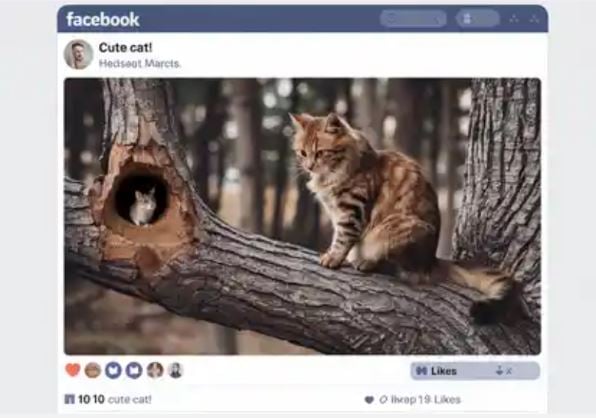 How to Use GIFs to Revolutionize Facebook Ads – SocialWick